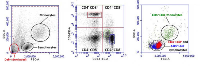 Cell Population Analysis | Sygnature Discovery