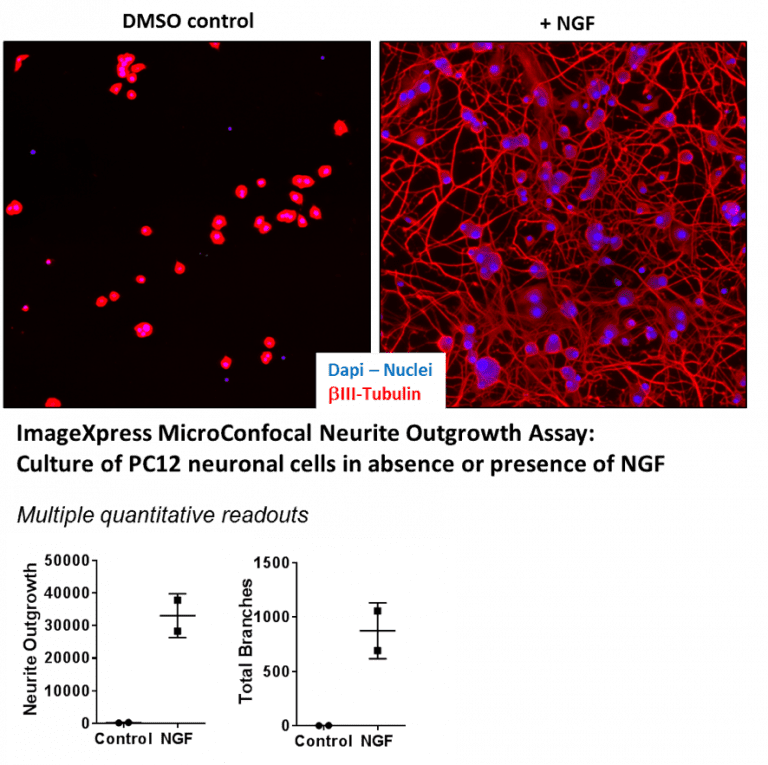 High Content Imaging & Screening | Sygnature Discovery