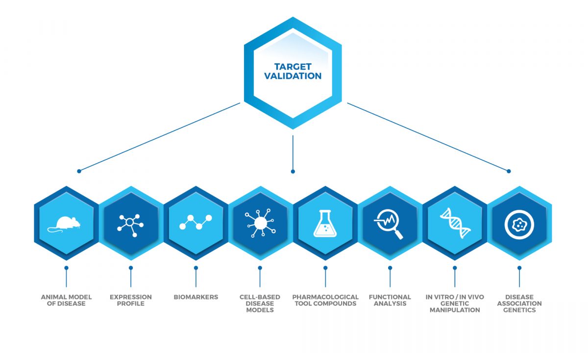 Target Validation Techniques | Sygnature Discovery Target Validation Techniques | Sygnature Discovery