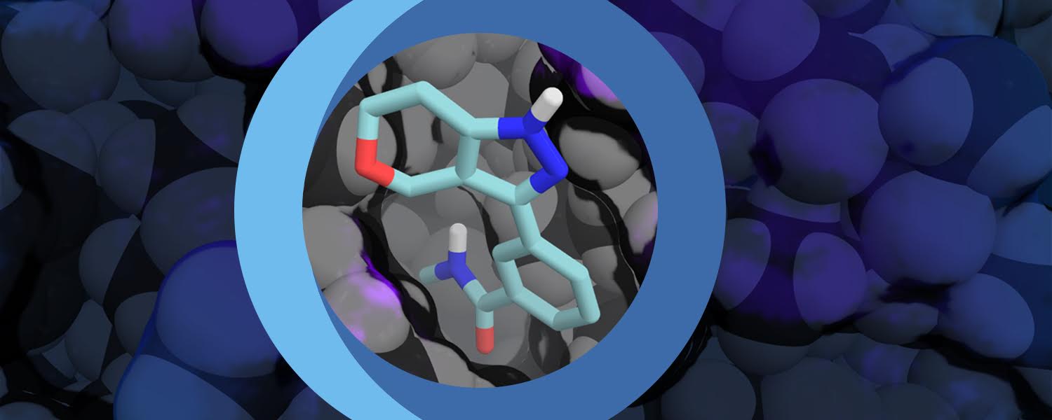Computer Aided Drug Design (CADD) at Sygnature Discovery