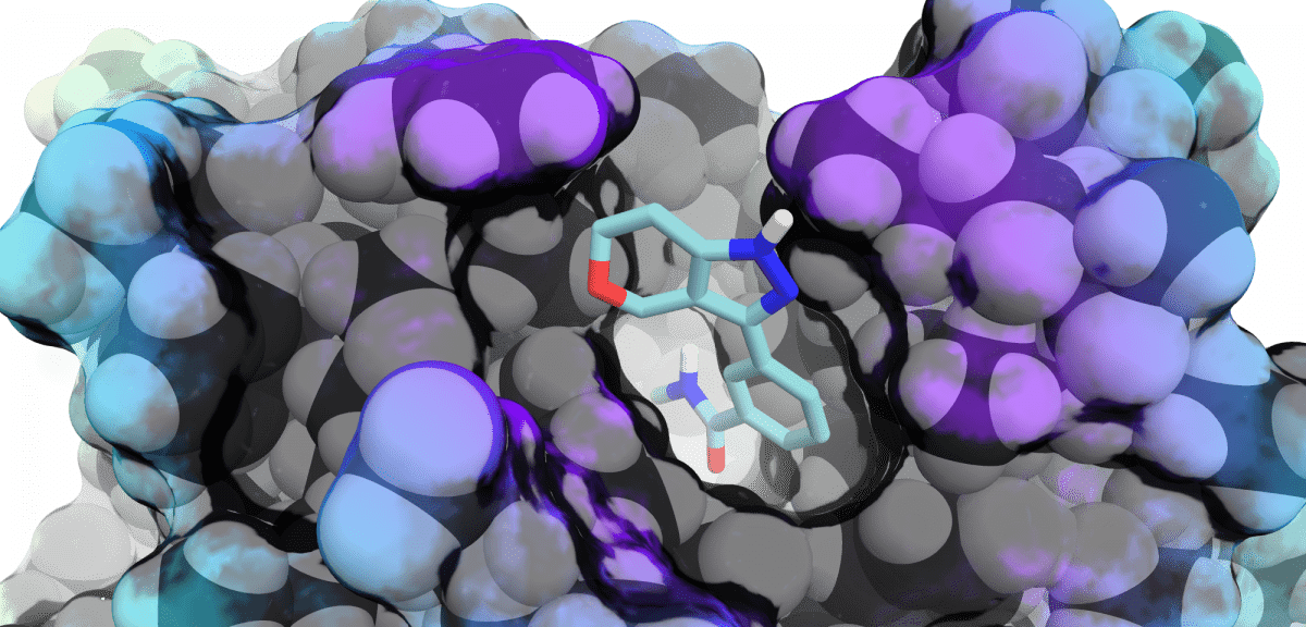 Sygnature Discovery - Integrated Drug Discovery - CRO Service