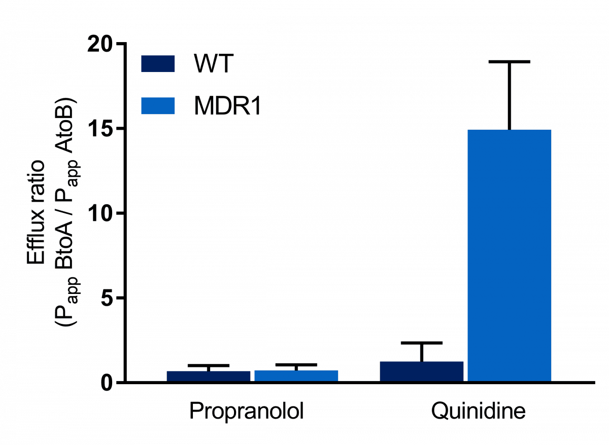 MDCK-WT/MDR1 Permeability | Sygnature Discovery