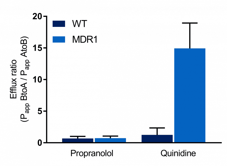MDCK-WT/MDR1 Permeability | Sygnature Discovery