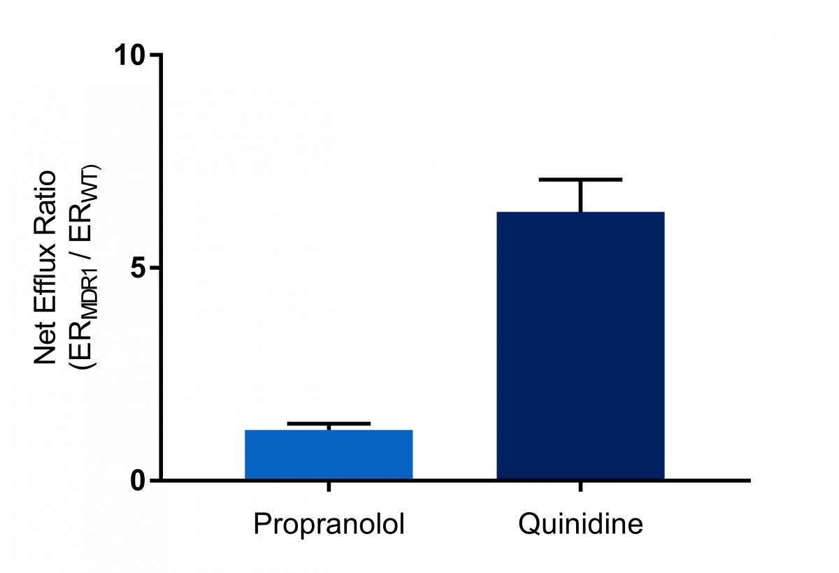 MDCK-WT/MDR1 Permeability | Sygnature Discovery