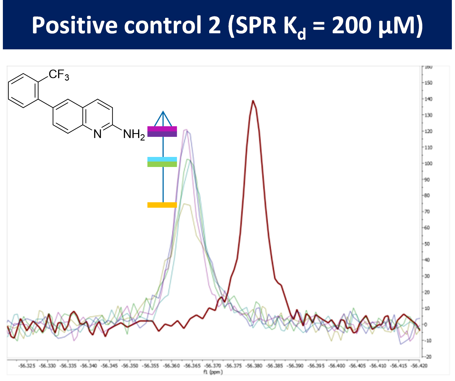 Fragment Screening | Drug Discovery | Sygnature Discovery