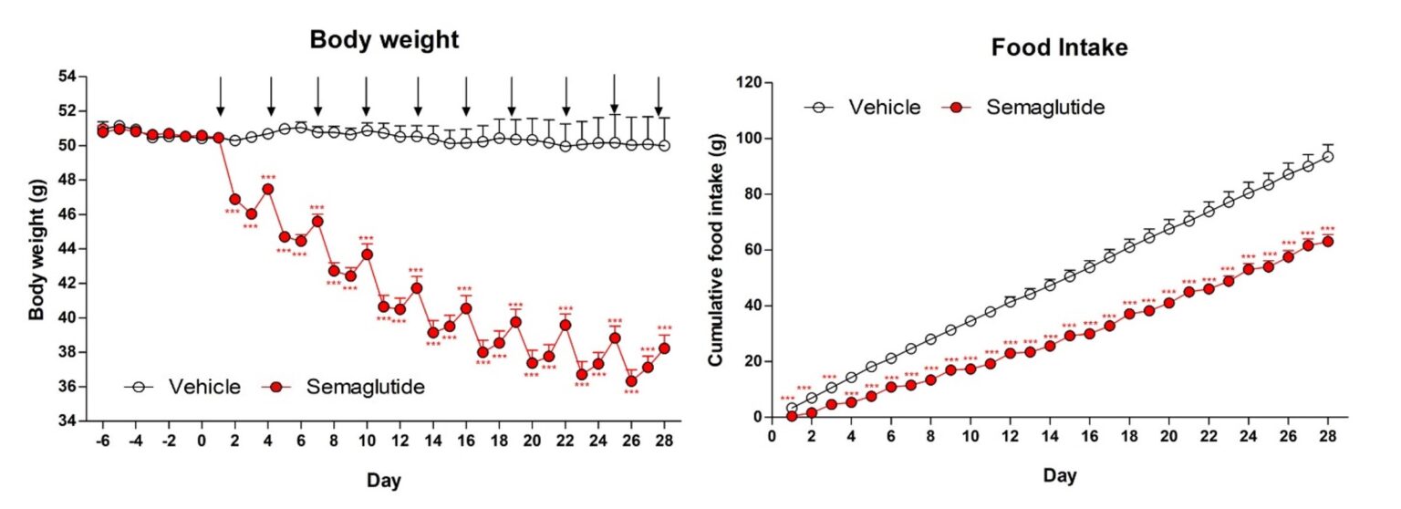 The dietary-induced obese (DIO) mouse: A robust platform for the ...