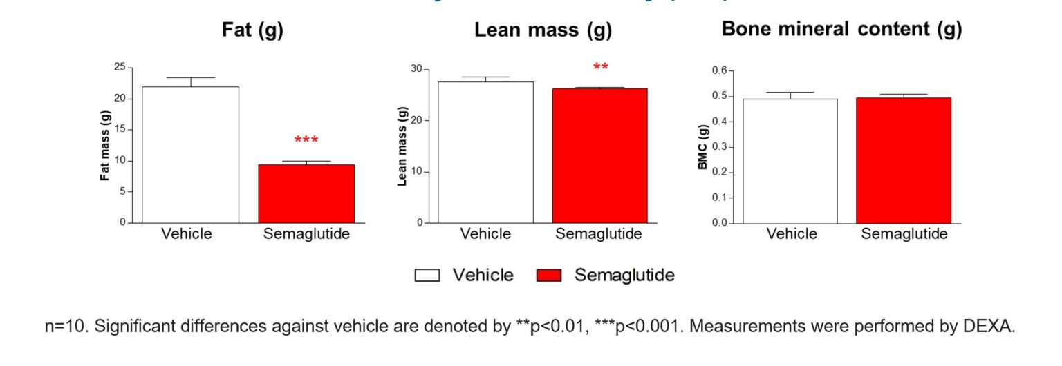 The dietary-induced obese (DIO) mouse: A robust platform for the ...