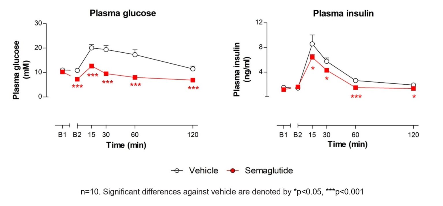 The dietary-induced obese (DIO) mouse: A robust platform for the ...