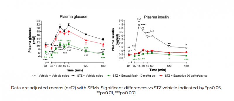 Streptozotocin high fat diet model of diabetes