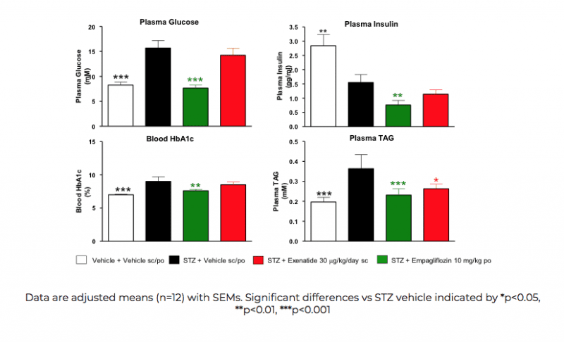 Streptozotocin high fat diet model of diabetes