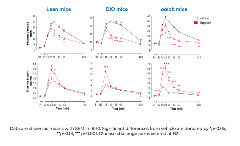 Sitagliptin Improves Rodent Glucose Tolerance