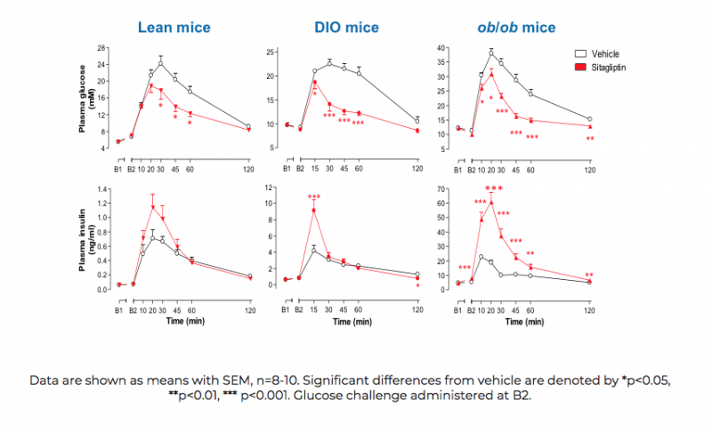Sitagliptin Improves Rodent Glucose Tolerance