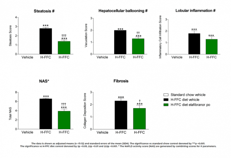H-FFC Mouse Model of NASH and Fibrosis - Sygnature Discovery