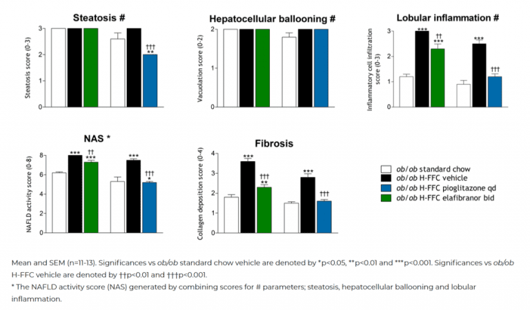 The ob/ob H-FFC mouse model of NASH and fibrosis - Sygnature Discovery