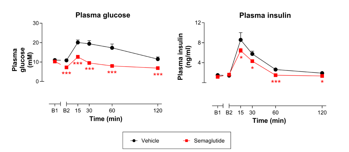 DIO Mice and Rats for Preclinical Obesity Research