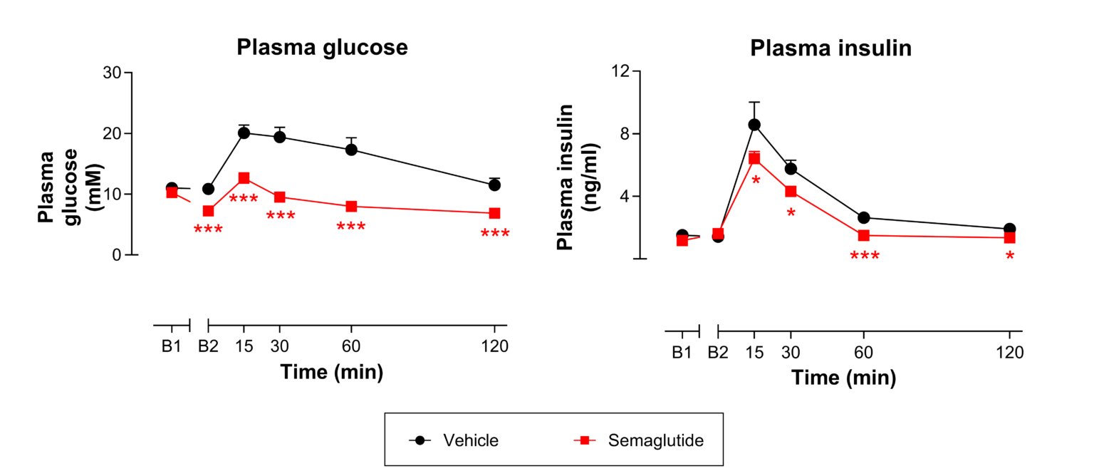 DIO Mice and Rats for Preclinical Obesity Research