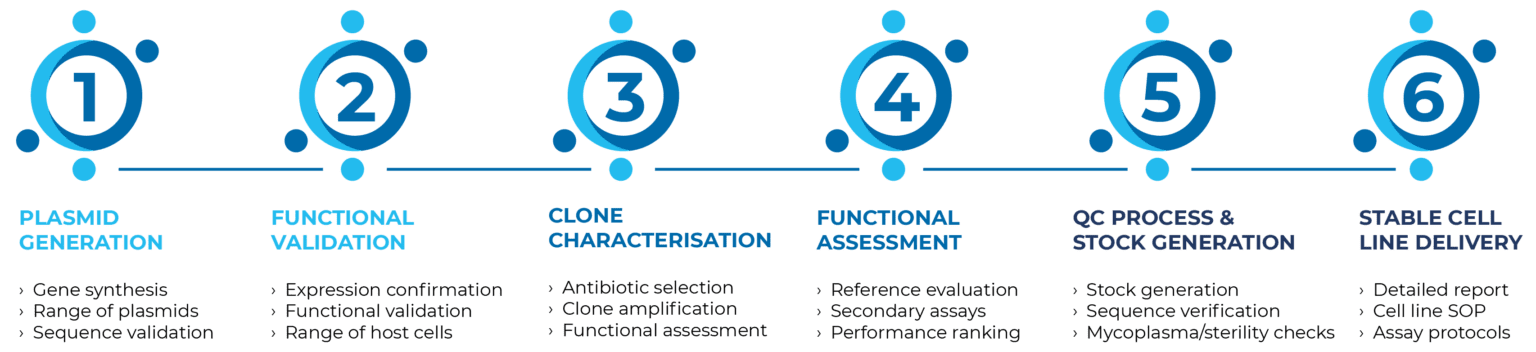 Custom Cell Line Generation with Sygnature Discovery Nottingham