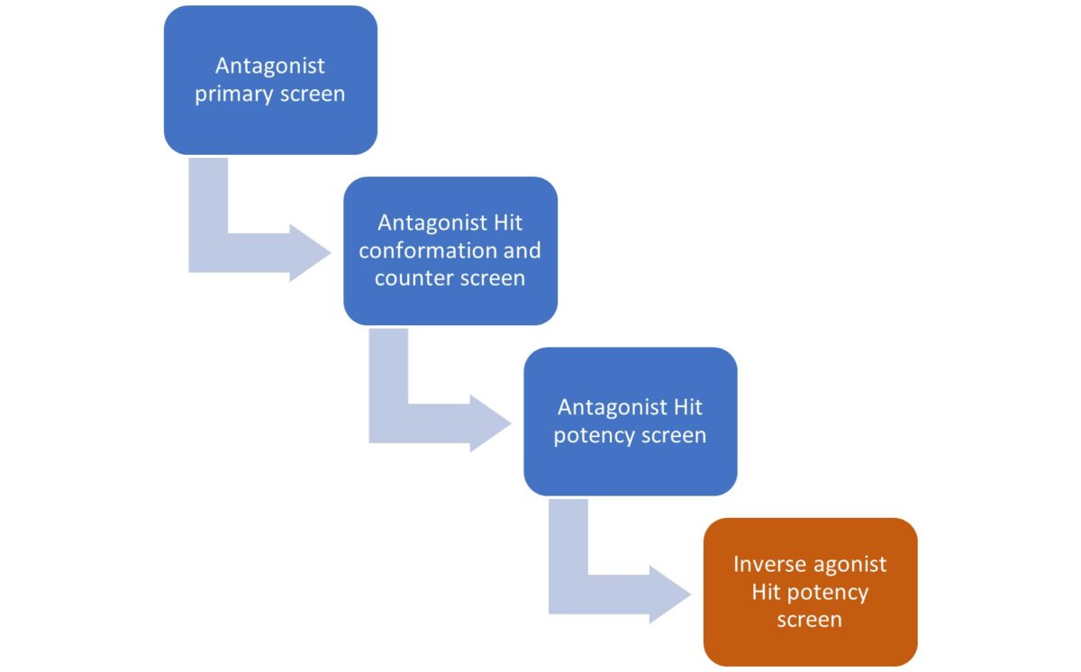 High throughput screening of inverse agonists - Sygnature Discovery