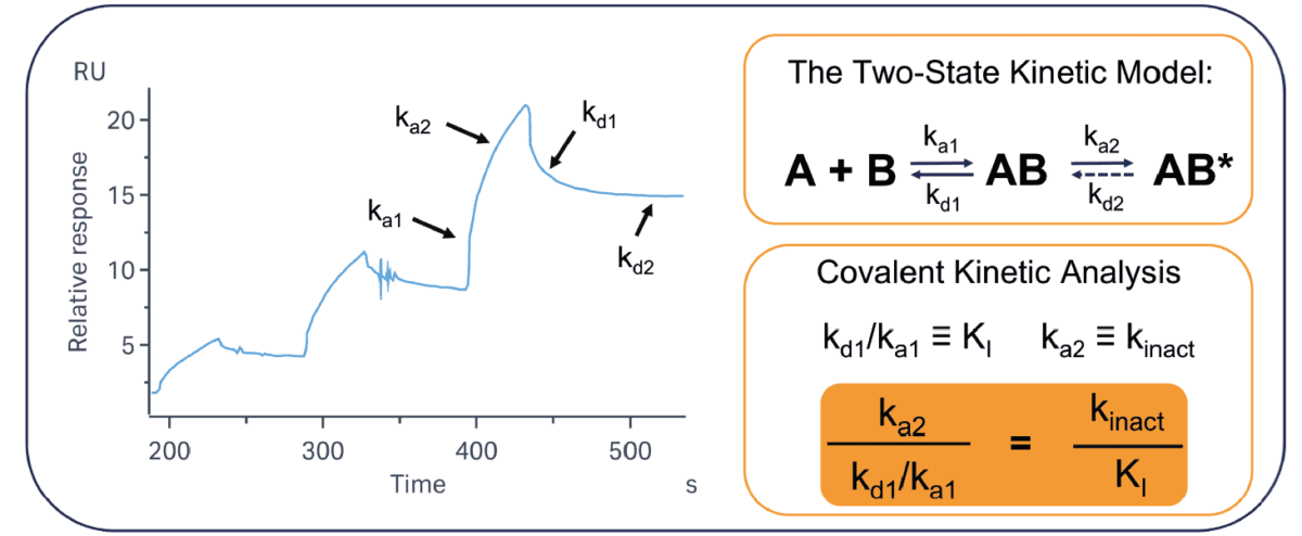 Discovering Covalent Therapeutics with Biophysics
