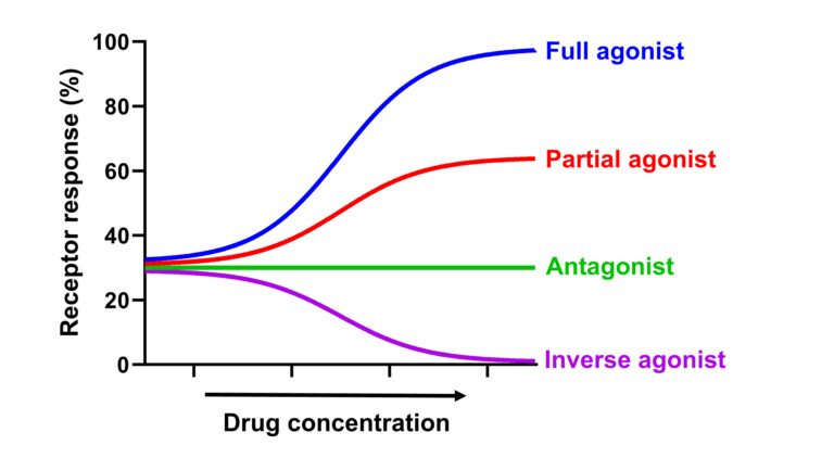 High throughput screening of inverse agonists - Sygnature Discovery
