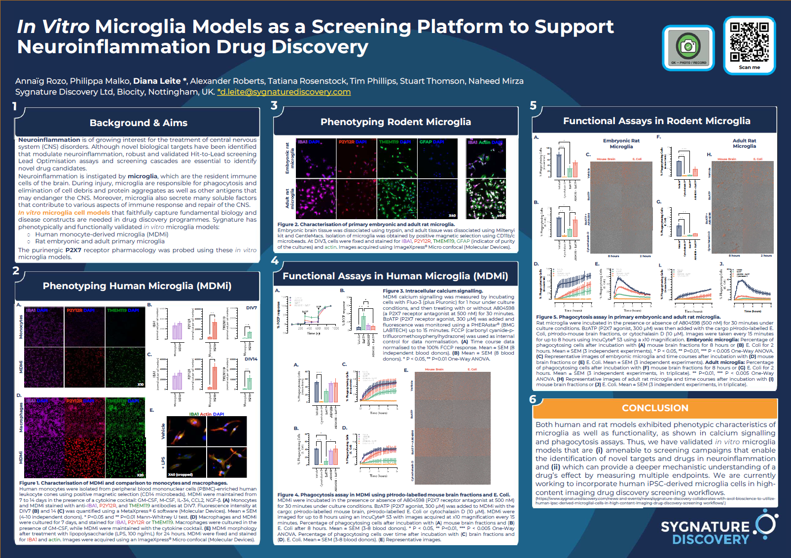 In Vitro Microglia Models as a Screening Platform