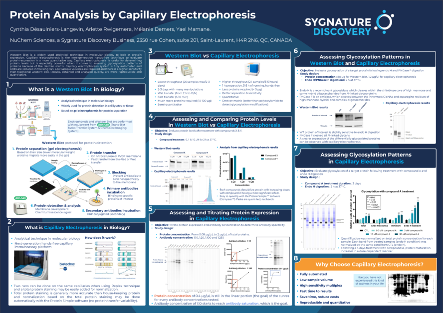 Protein Analysis by Capillary Electrophoresis - Sygnature Discovery