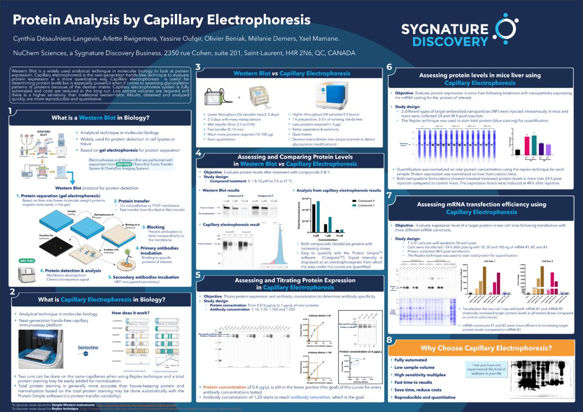 Protein Analysis by Capillary Electrophoresis - Sygnature Discovery