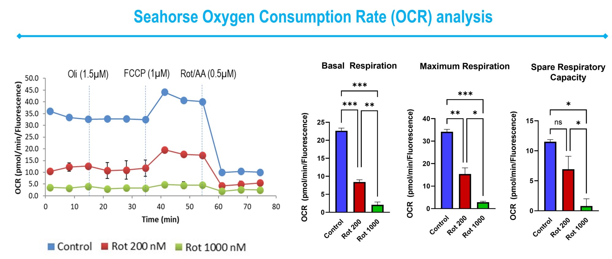 Mitochondrial Dysfunction in Neurodegeneration | Sygnature