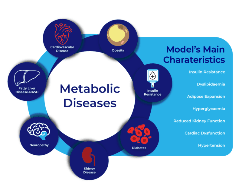 Metabolic Models - Sygnature Discovery