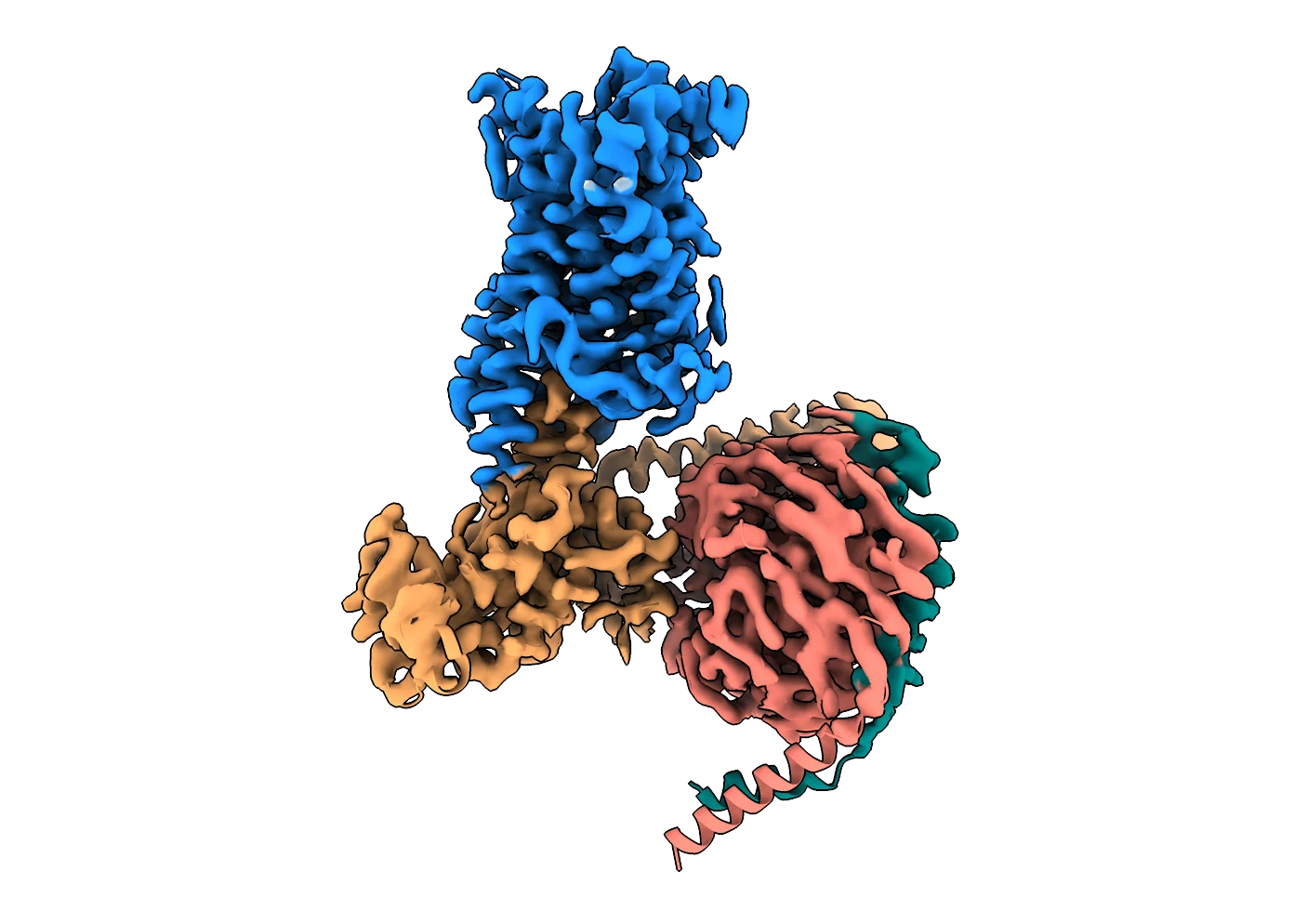 Single Particle Cryo-EM