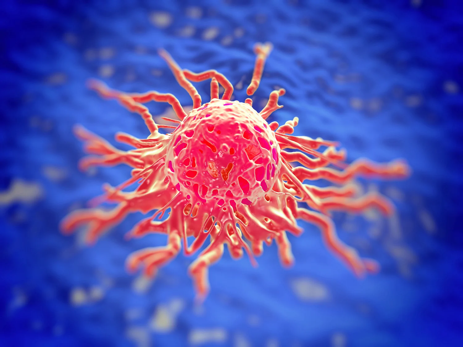 Oncology Models - Sygnature
